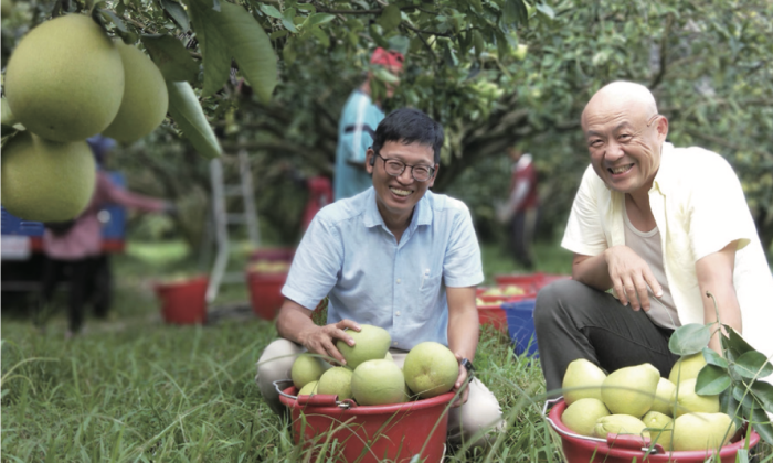 Hualien Dessert - Wendan Renaissance CiRCLELiNKS Channel